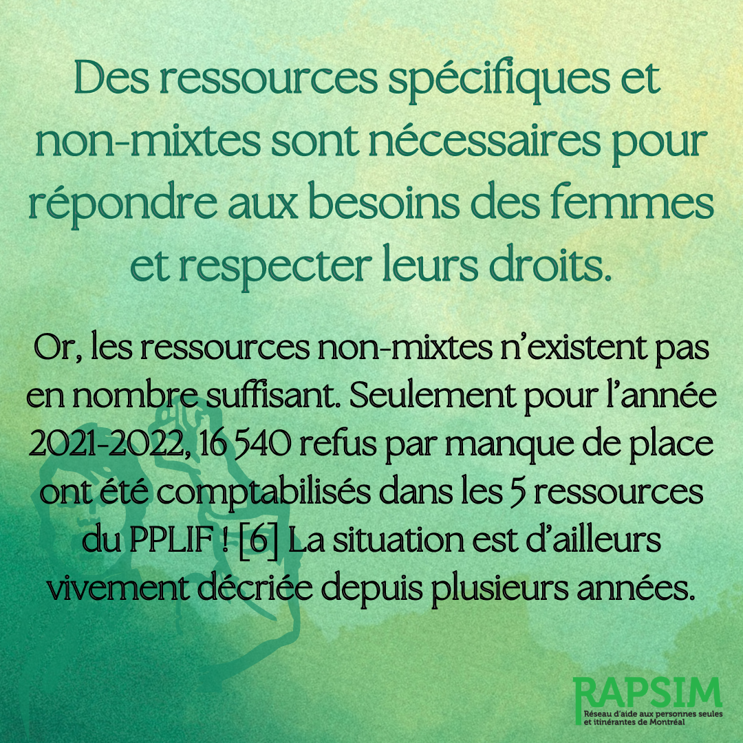 L’itinérance des femmes : Au-delà du visible